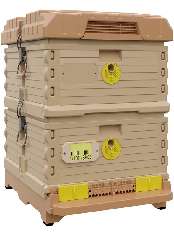 Apimaye 10 Frame Langstroth Insulated Bee Hive Set with Plastic ...